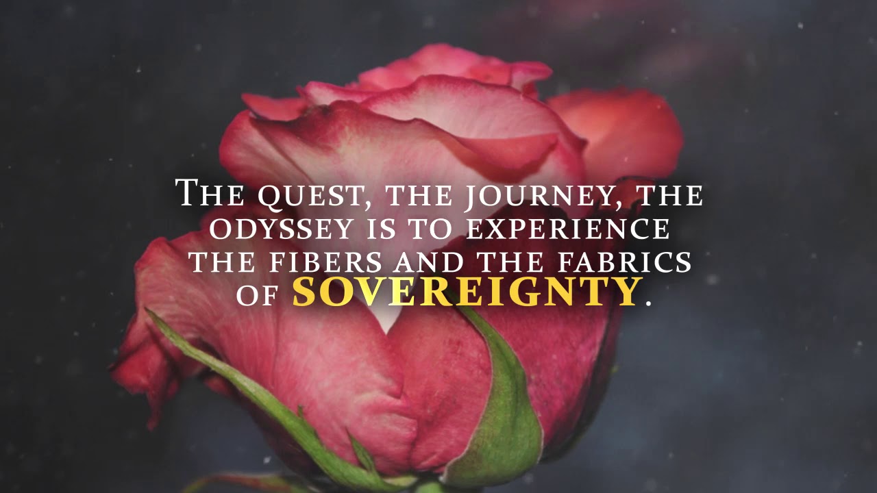 The Sovereign Rose of Morbid Lore by Tree Story - YouTube