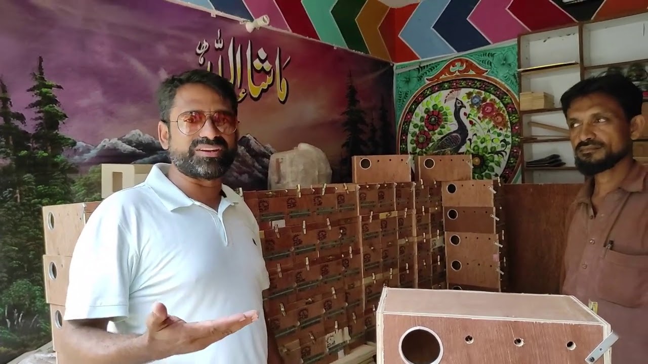 Opal,Fawn,Albino Java New Breeding Unit Setup Part 1 - YouTube