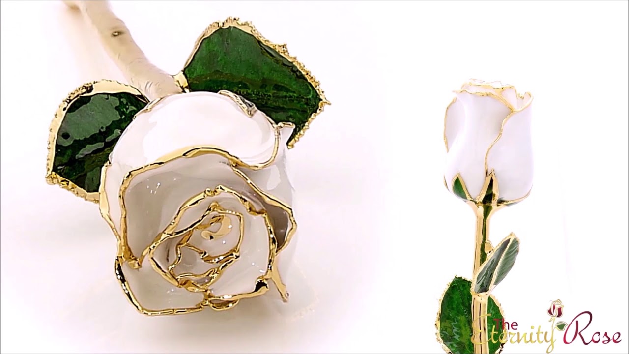 A natural white rose glazed and gold trimmed, paired with a matching ...