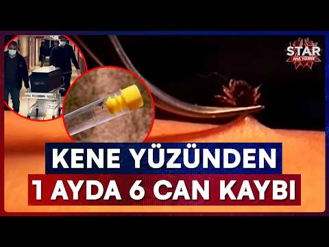 Kene Bir Can Daha Aldı, Ölü Sayısı 6'ya Yükseldi! | Star Ana Haber