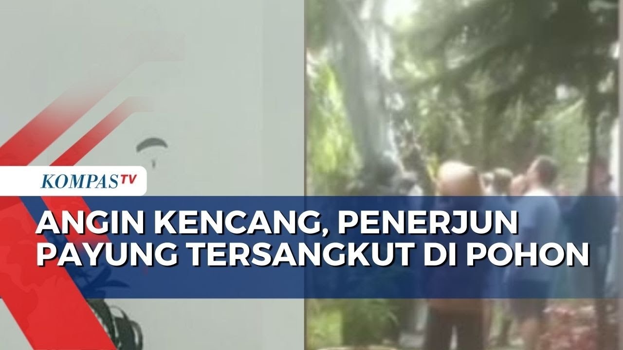 Angin Kencang, Penerjun Payung dari TNI Tersangkut di Pohon Setinggi 3 ...