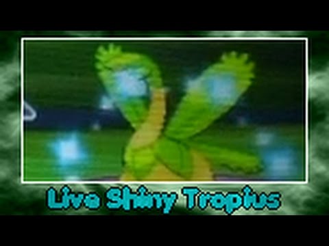 [SHTC2014][Live] Win or Fail ? Shiny Tropius after 2733 RE's ! - YouTube