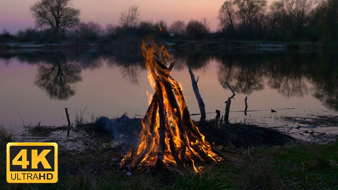 [4K] Campfire near river, evening. Ambient, birds, crackling sounds ...