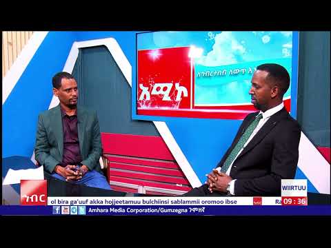 AMECO HIBIR: QOPHII ADDAA:- Turtii Dursaa Bulchaa B/S/Oromoo Obbo ...