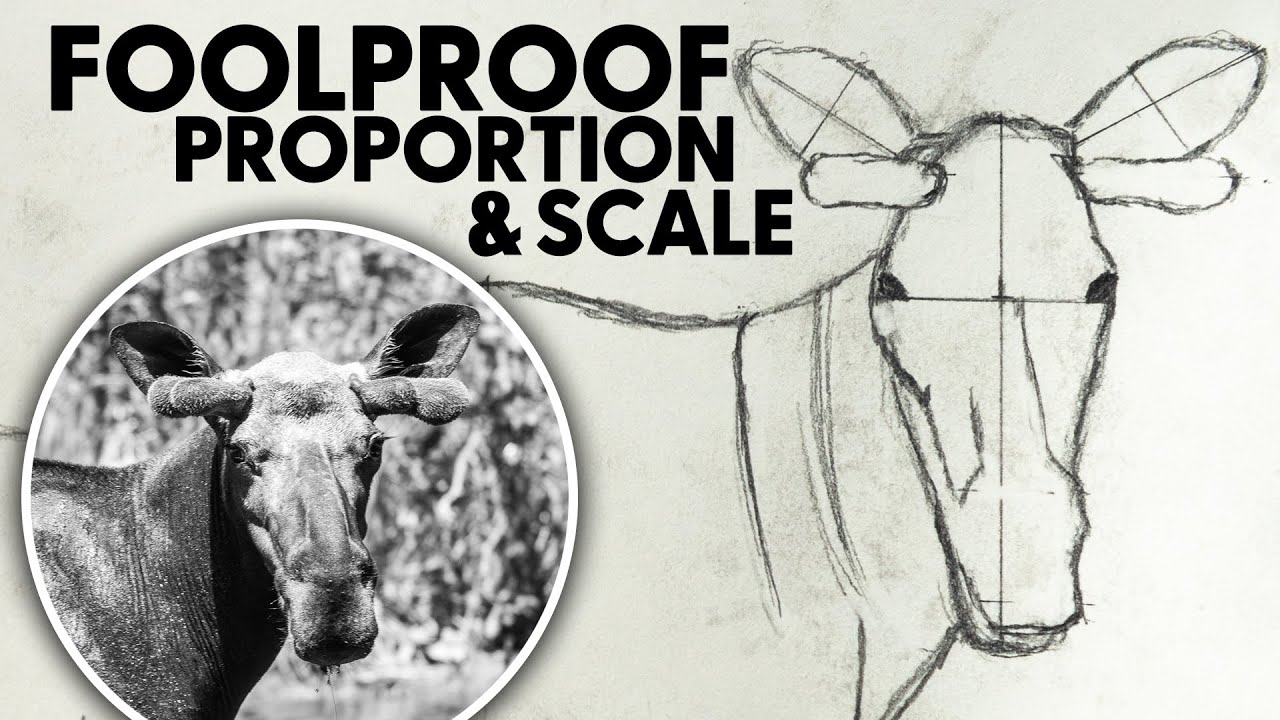 SHORTCUT To Scaling Animal Drawings - YouTube