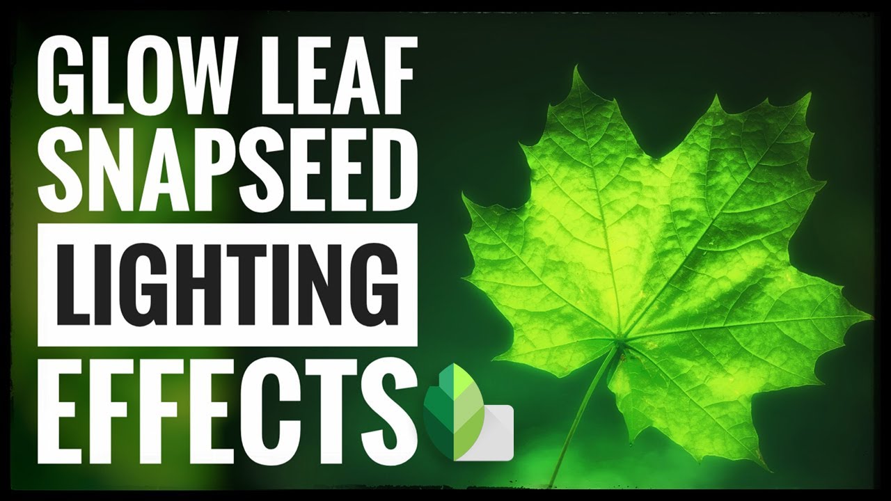 Snapseed Lighting Effects - GLOW LEAF Photo Editing - YouTube
