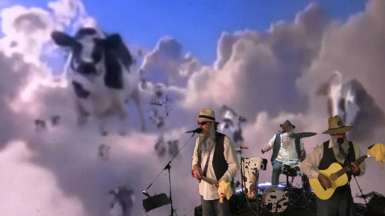 MONEY FOR NOTHING by the PONY UP BAND 11 24 - YouTube