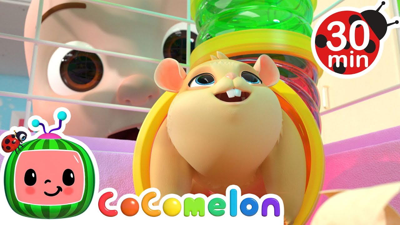 Meet Our Class Pet! | Cocomelon and Little Angel Nursery Rhymes - YouTube