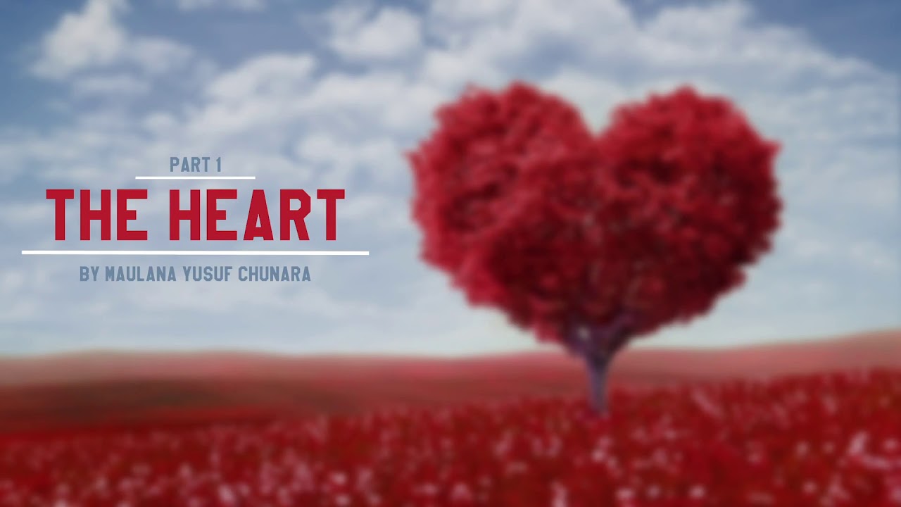 The Heart - Part 1 - YouTube