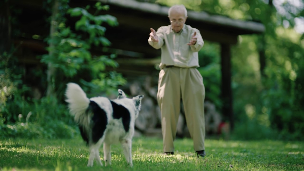 Saying “No” Dog Training with Chaser, the Dog Who Knows 1,000 Words ...