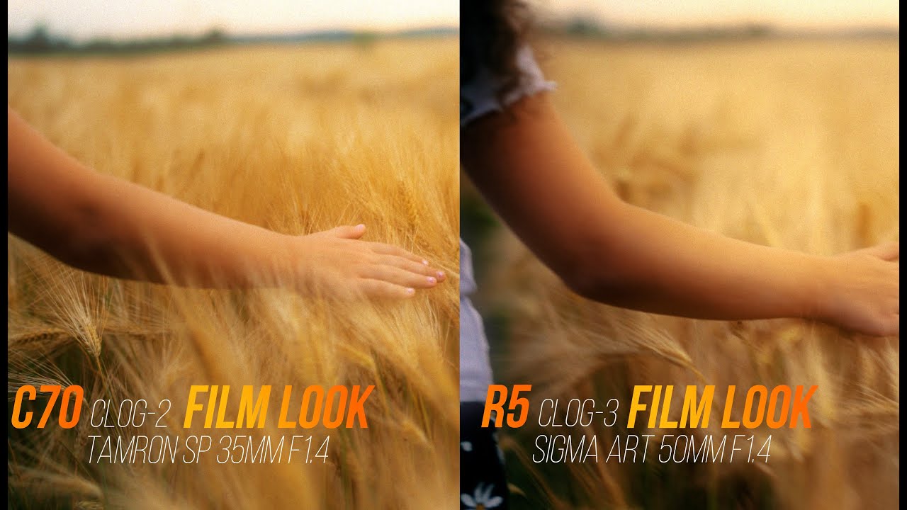 Canon R5 vs Canon C70 // image quality, Dynamic Range, Stabilisation ...