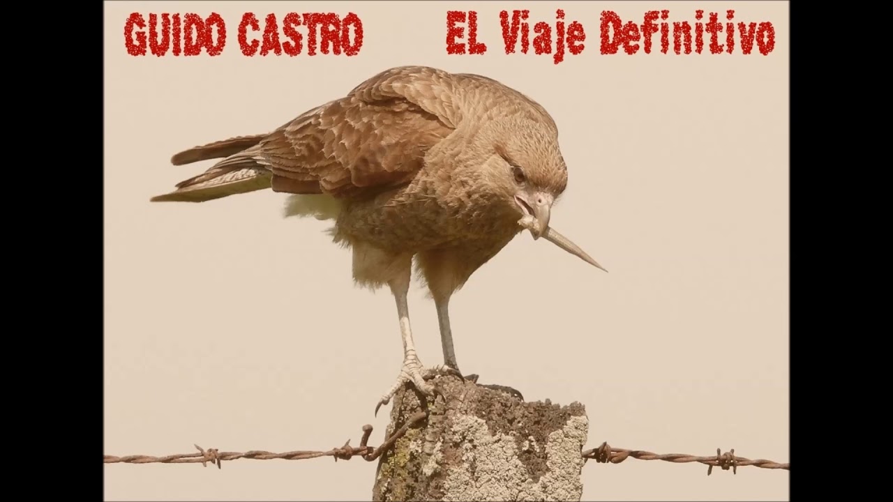 Guido Castro - El Viaje Definitivo - YouTube