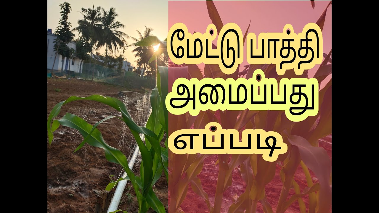 மேட்டு பாத்தி அமைப்பது எப்படி????? / Mettu paththi amaikum murai - YouTube