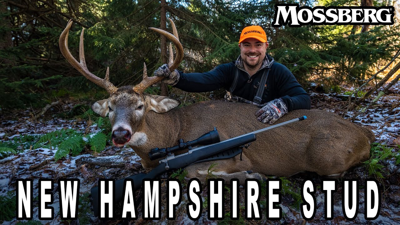 NEW HAMPSHIRE MOUNTAIN BUCK | The Whitetail Collective - YouTube