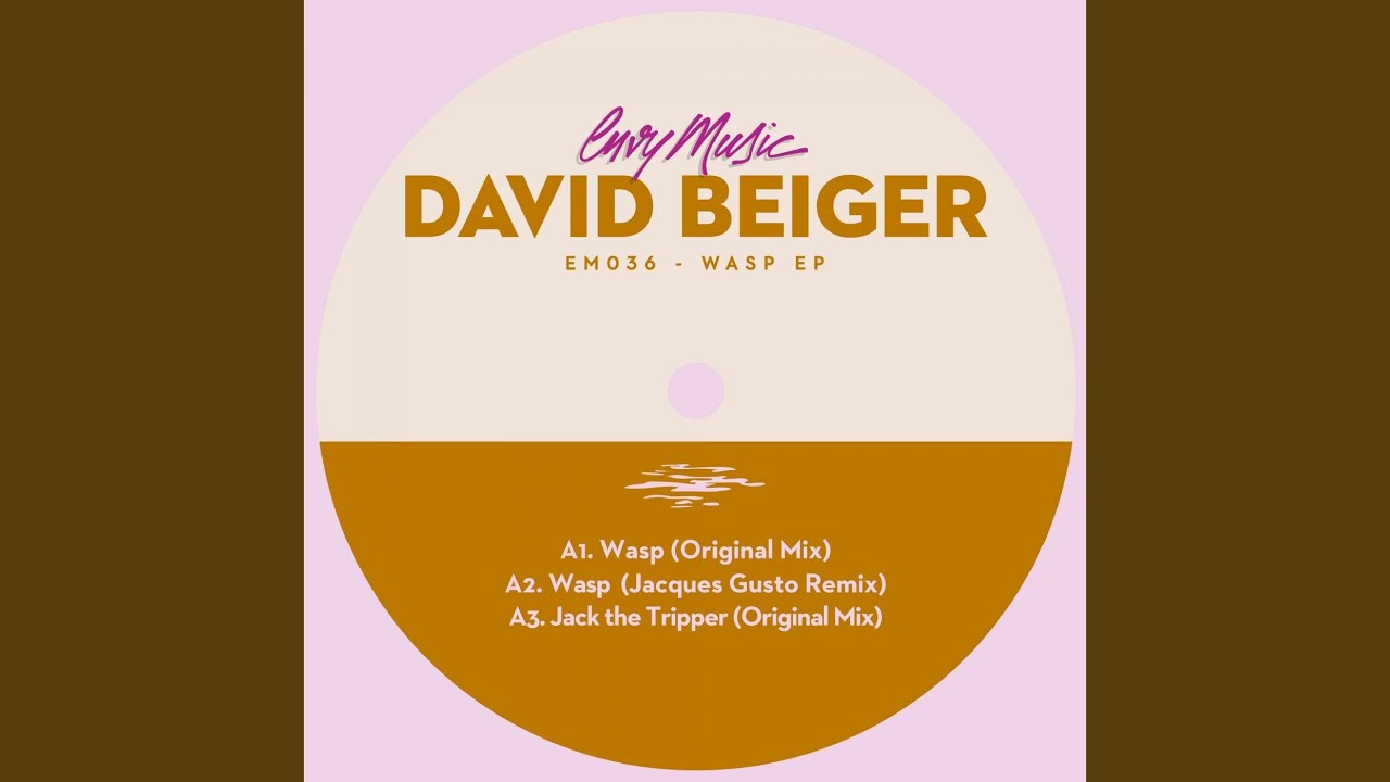 Wasp (Jacques Gusto Remix) - YouTube