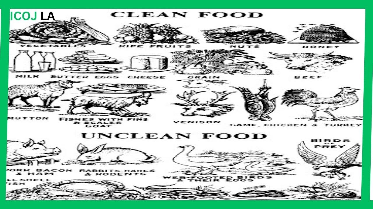 THE LAW OF THE BEASTS, FOWL, THINGS IN THE WATER AND THINGS THAT CREEP ...