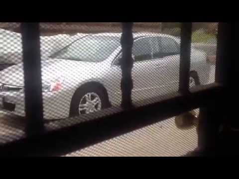 Geico.Com 1-800-947-Auto - YouTube