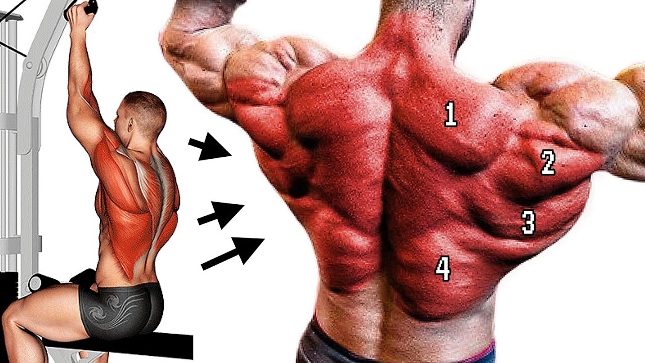 Back Workout to Hit All Back Muscles - YouTube