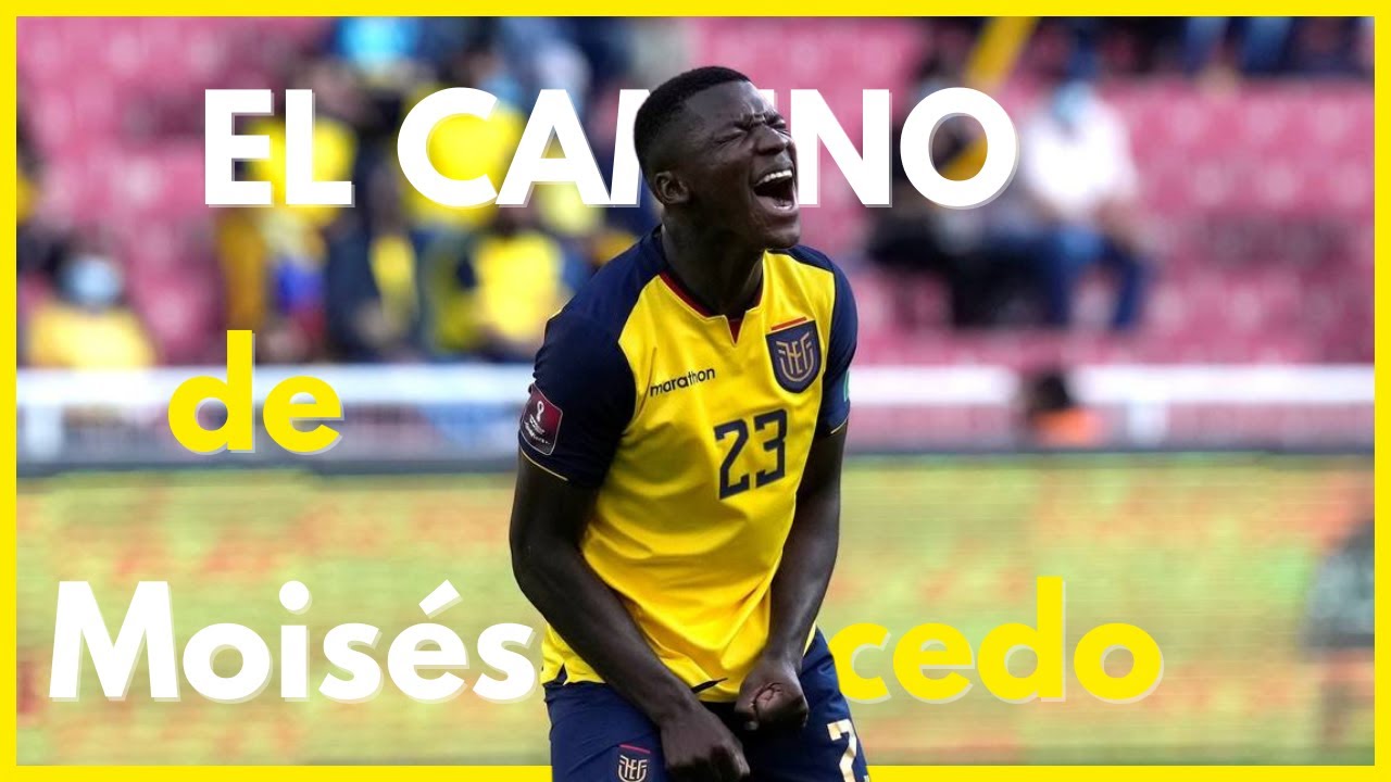¿Quién es Moisés Caicedo? El impresionante Camino de Moisés Caicedo ...