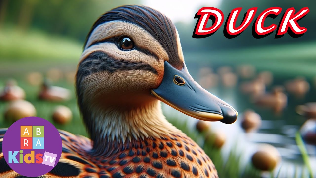 DUCK - Wildlife Wonders 🦆 Animals for Kids 🦆 Educational Videos For ...