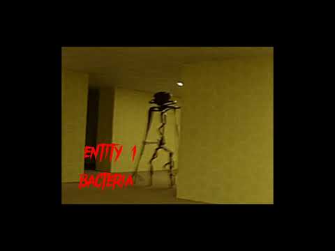 entity-1-bacteria - YouTube