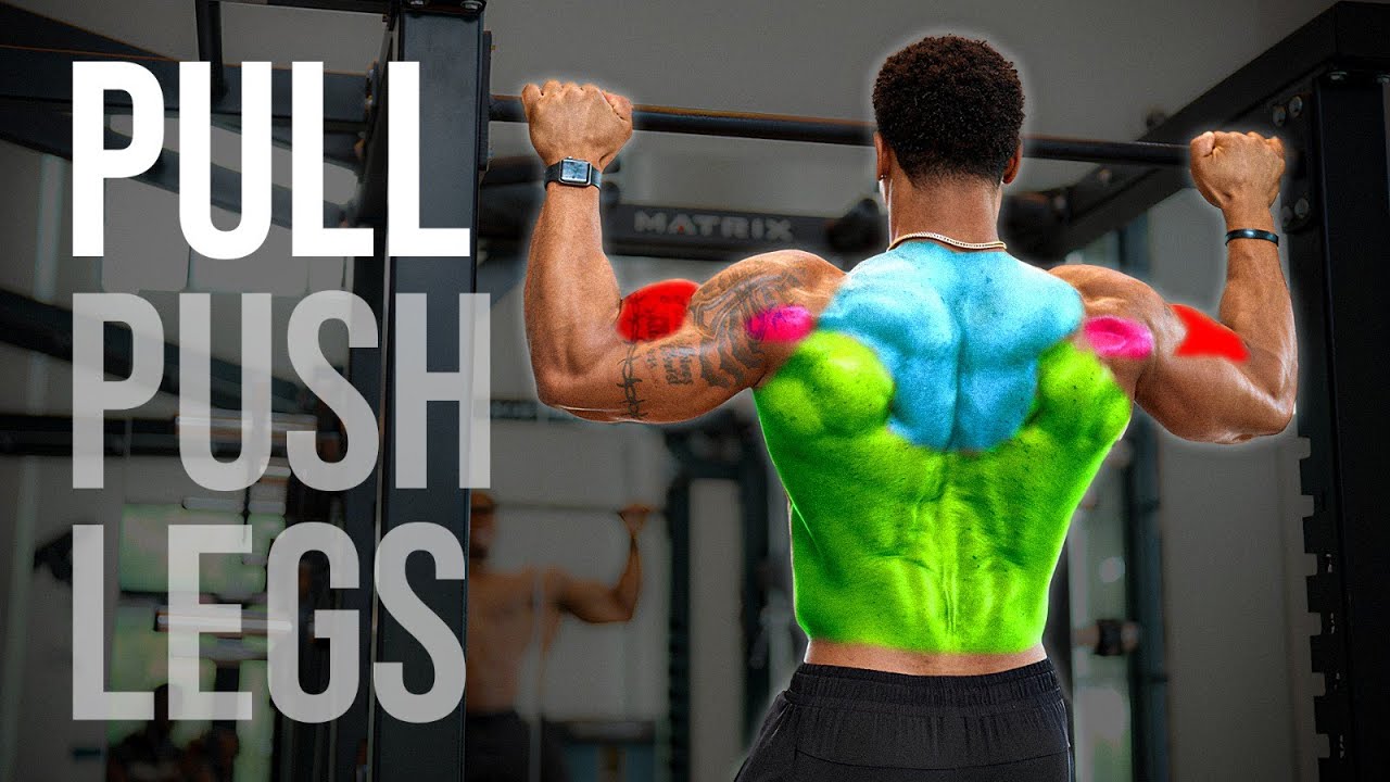 The Perfect Pull Workout (Lats, Delts, Traps, Biceps) - YouTube