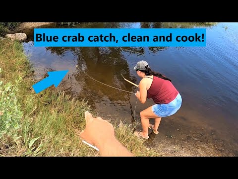 Catching blue crabs by hand line! Catch, clean and cook! - YouTube