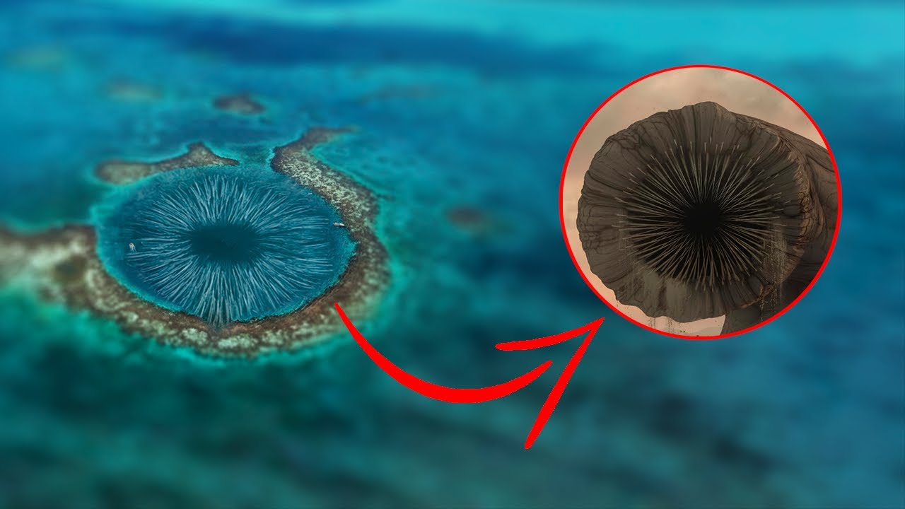 The Top 10 Most Dangerous Waters In The World - Session 122 - YouTube