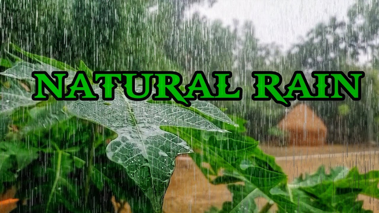 Defeat Stress to Fall Asleep in 3 Minutes ⚡ Continuous Heavy Rain ...