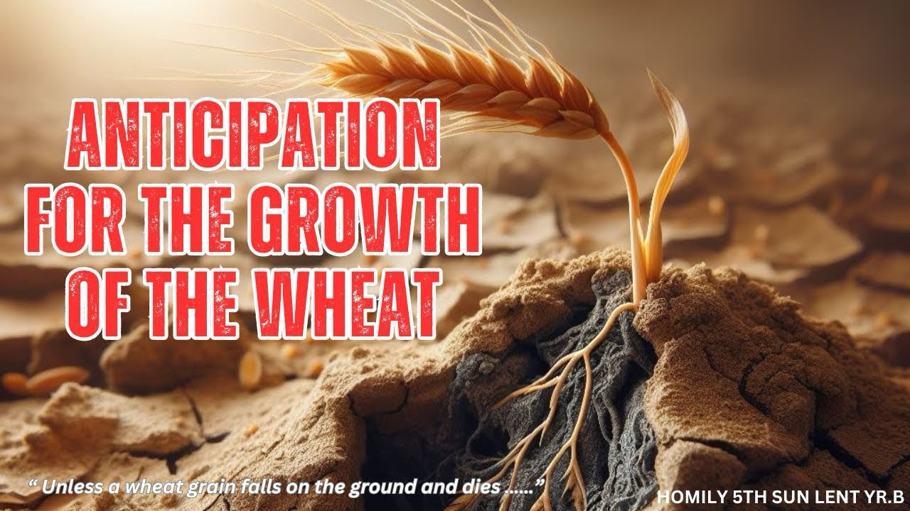 ANTICIPATION FOR THE GROWTH OF THE WHEAT: Homily 5th Sunday of Lent ...