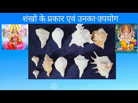 शंखो के प्रकार एवं उनकी संपूर्ण जानकारी और महत्व types of Conch, Sangu ...