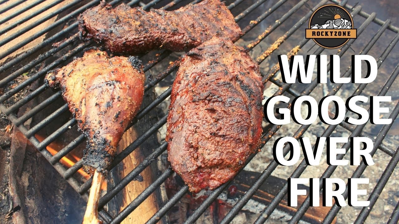Cooking WILD GOOSE Over FIRE (Butchering to Cooking) - YouTube