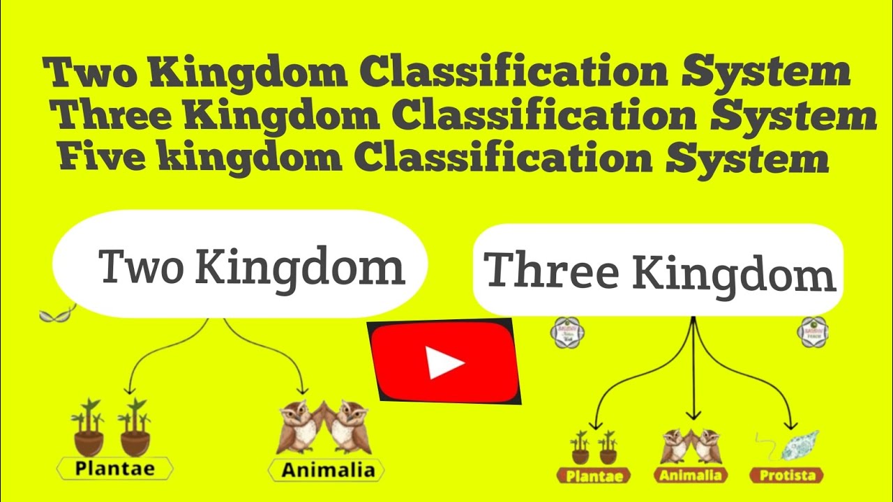 Two,Three And Five Kingdom Classification System (9th Class Biology ...