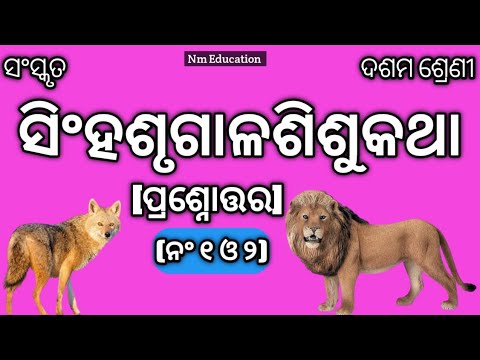 Sinha Srugala Shishu katha Class 10 sanskrit Question Answer (Part-1)| Singha Srugala Question Ans