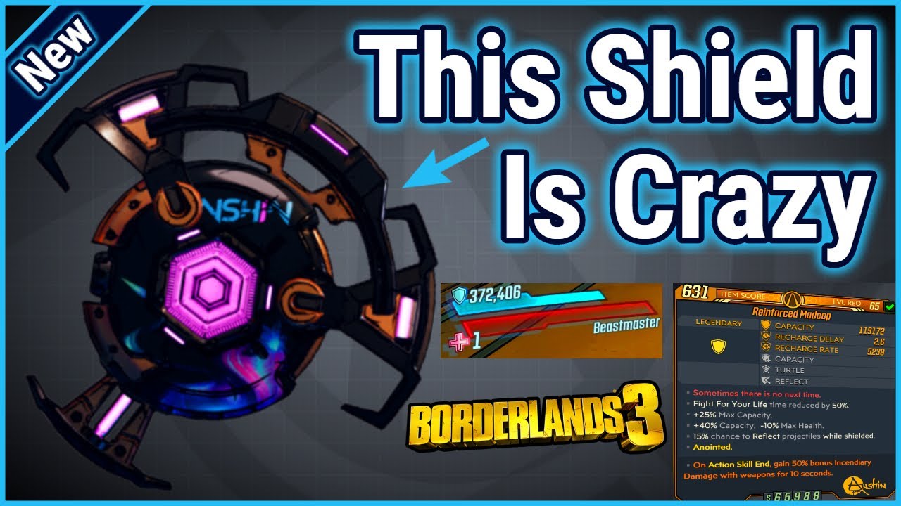 Largest Capacity Shield Borderlands 2