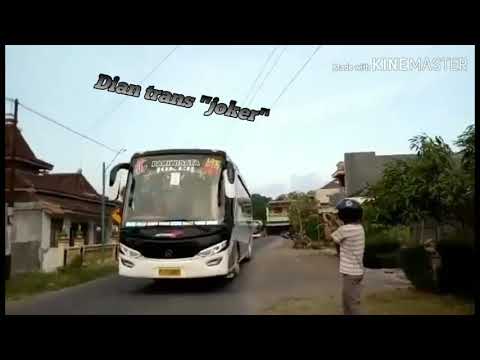 Bus dian trans