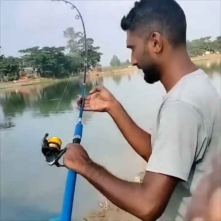 The BEST Way to Catch Rui Fish from a Pond with a Fishing Line #fish ...