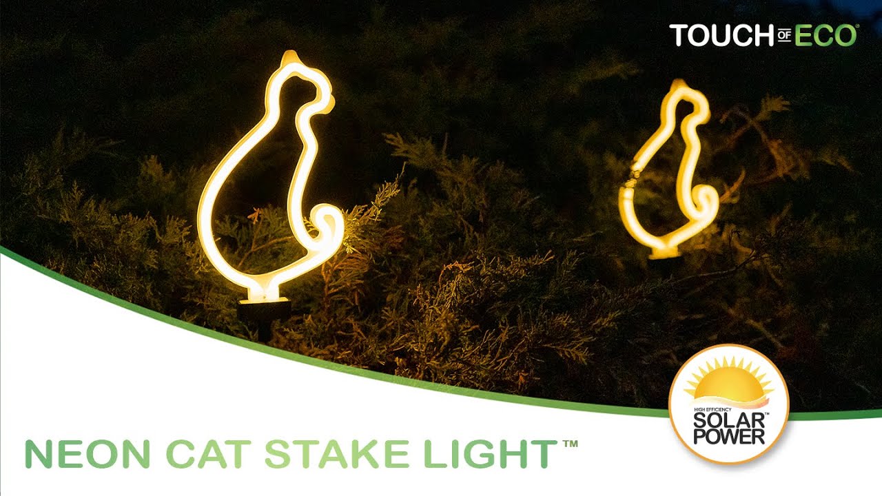 Solar LED Neon Cat Outdoor Garden Décor Stake Light- Touch of ECO - YouTube