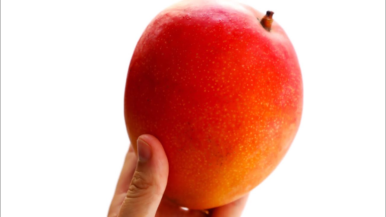 Mango love meme (Animation meme) [Joke] {Really good and well animated ...