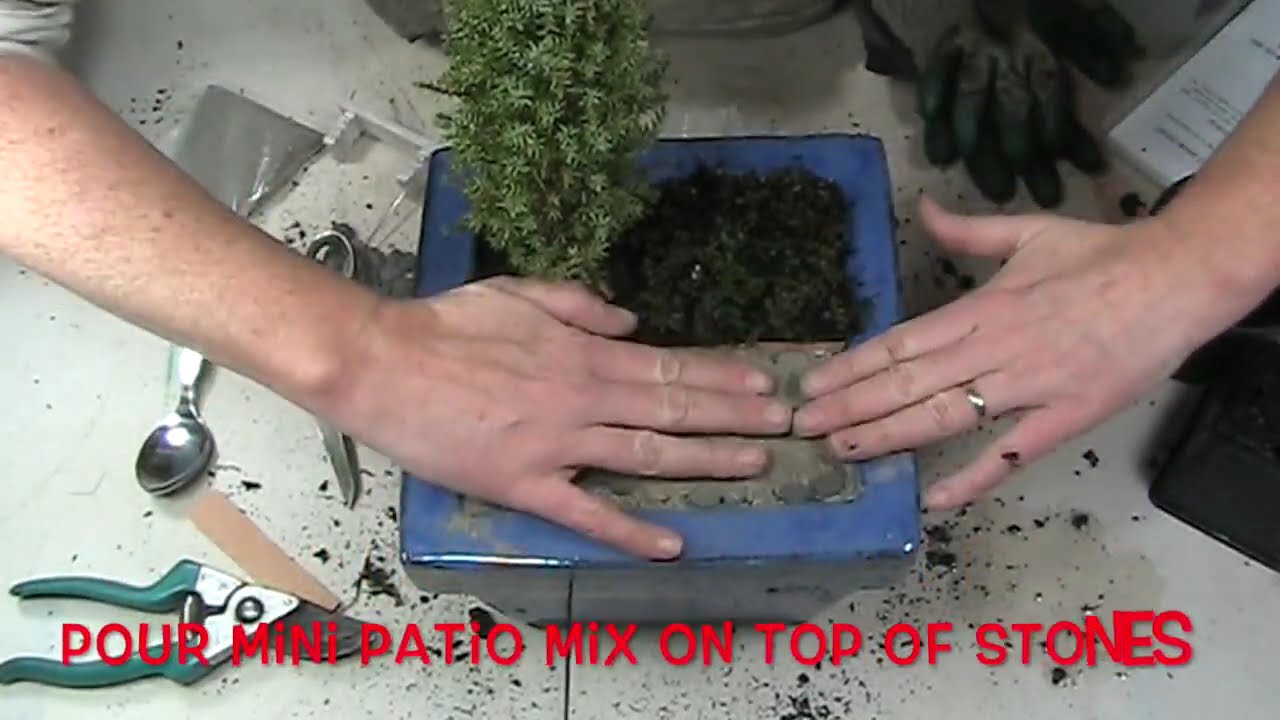 How to Make a Garden in Miniature with a Mini Patio, Long Lasting ...