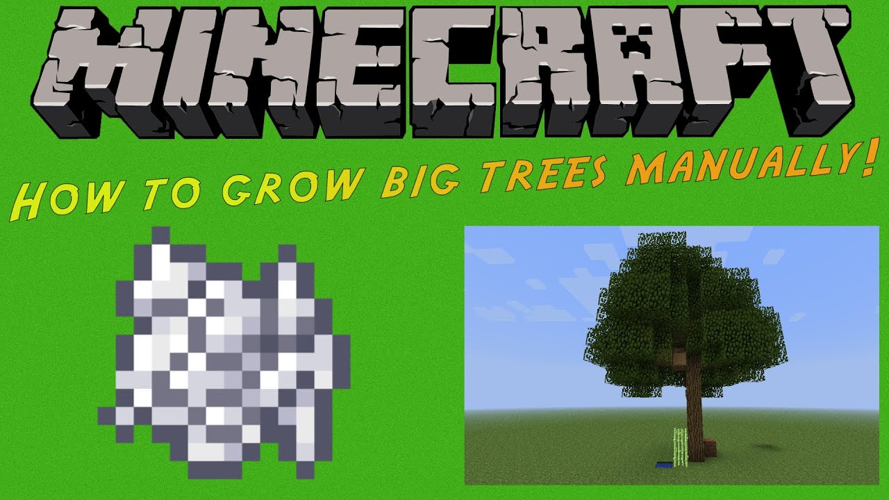 How to Manually Grow big trees in Minecraft 1.8 - YouTube