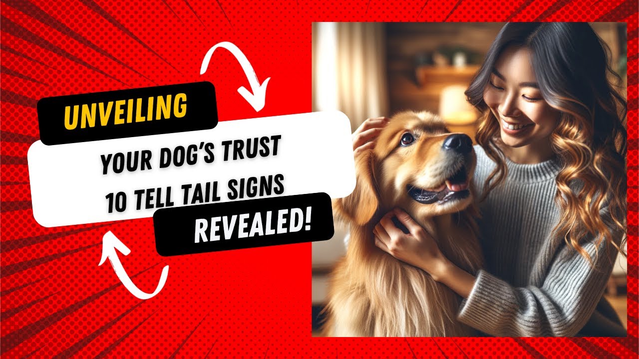 Unveiling Your Dog's Trust - 10 Telltale Signs Revealed! - YouTube