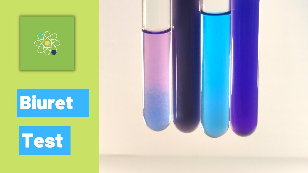 Making The Biuret Test - YouTube