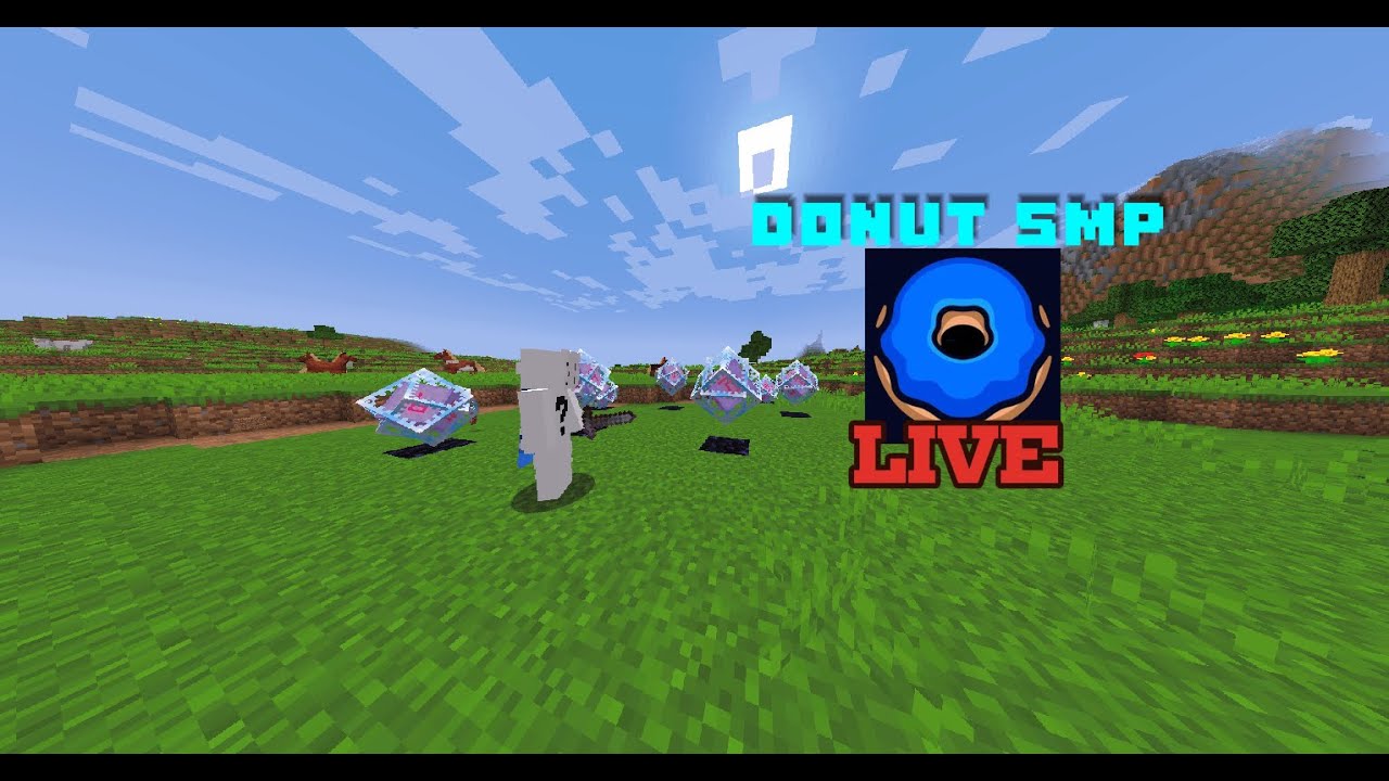 DONUT SMP and training servers (10 subs = 10k) - YouTube