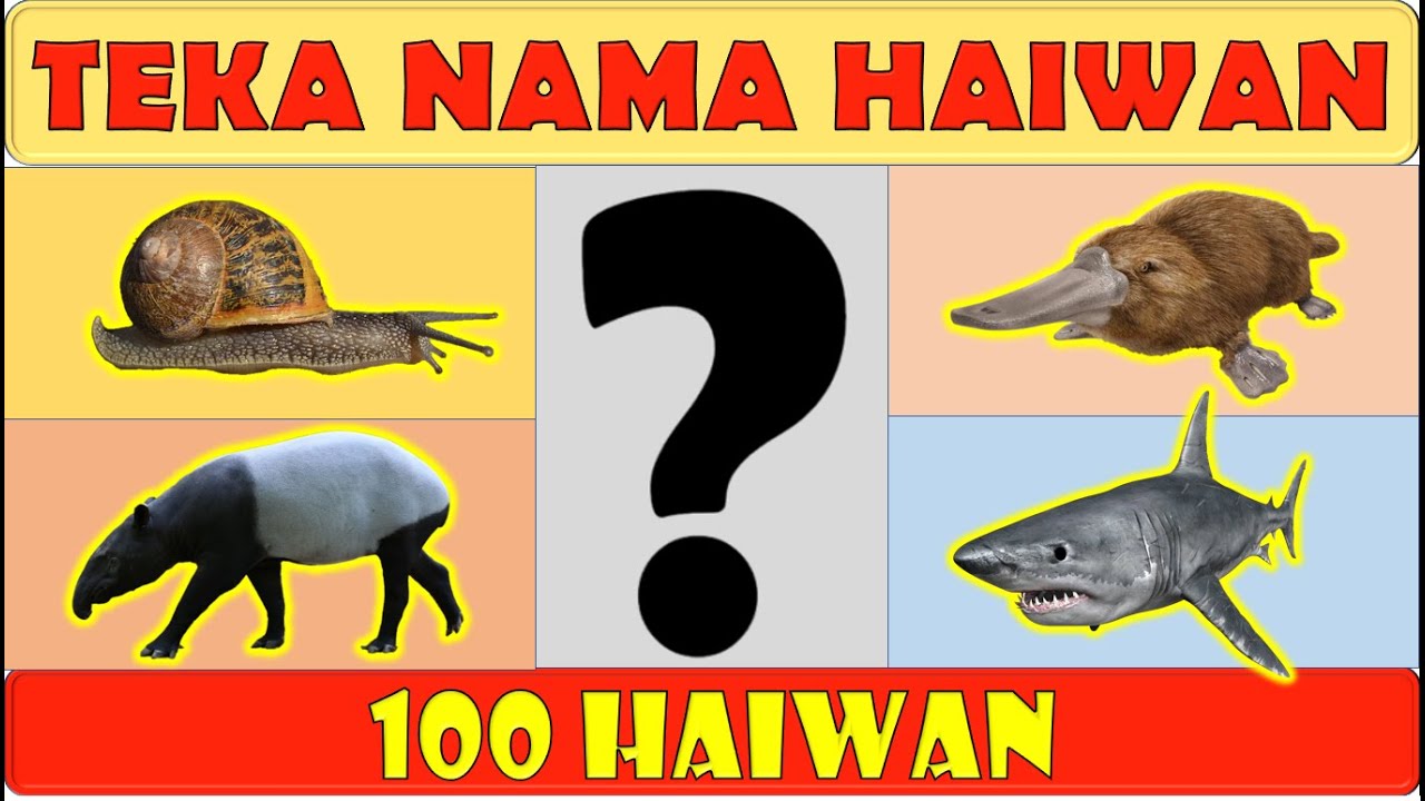 35) KUIZ TEKA NAMA 100 HAIWAN / BINATANG DALAM 3 SAAT | TEKA TEKI - YouTube