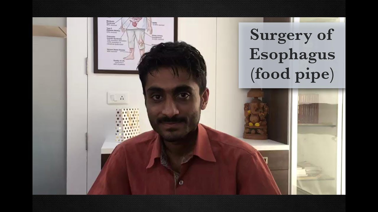 Endoscopy Of Food Pipe at Noble Paige blog