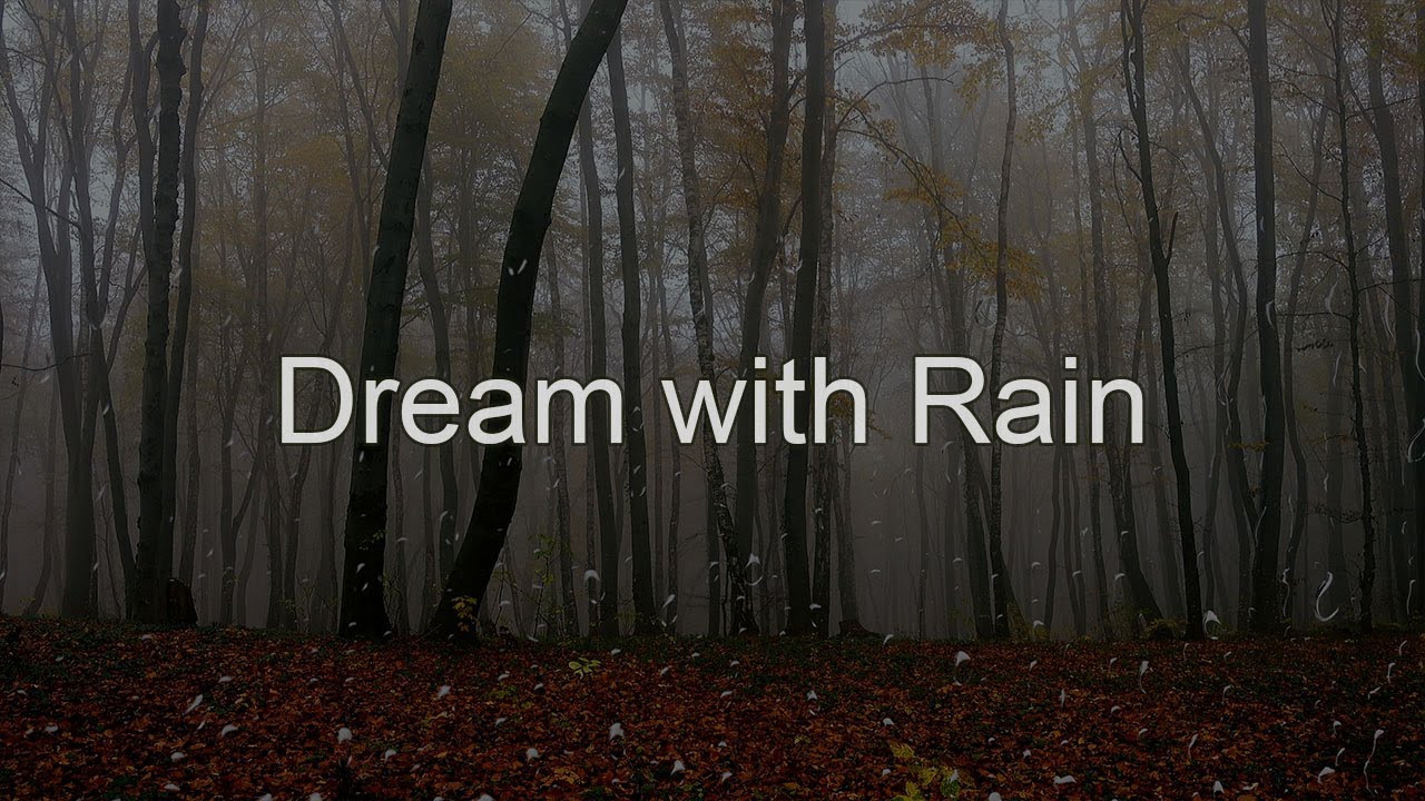 Dream with Rain & Thunder Sounds | Sleep Music || Deep Relaxing ASMR ...