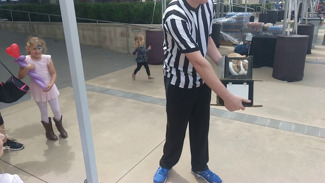 Magic Trick in Slow Motion - Rabbit Disappear - YouTube