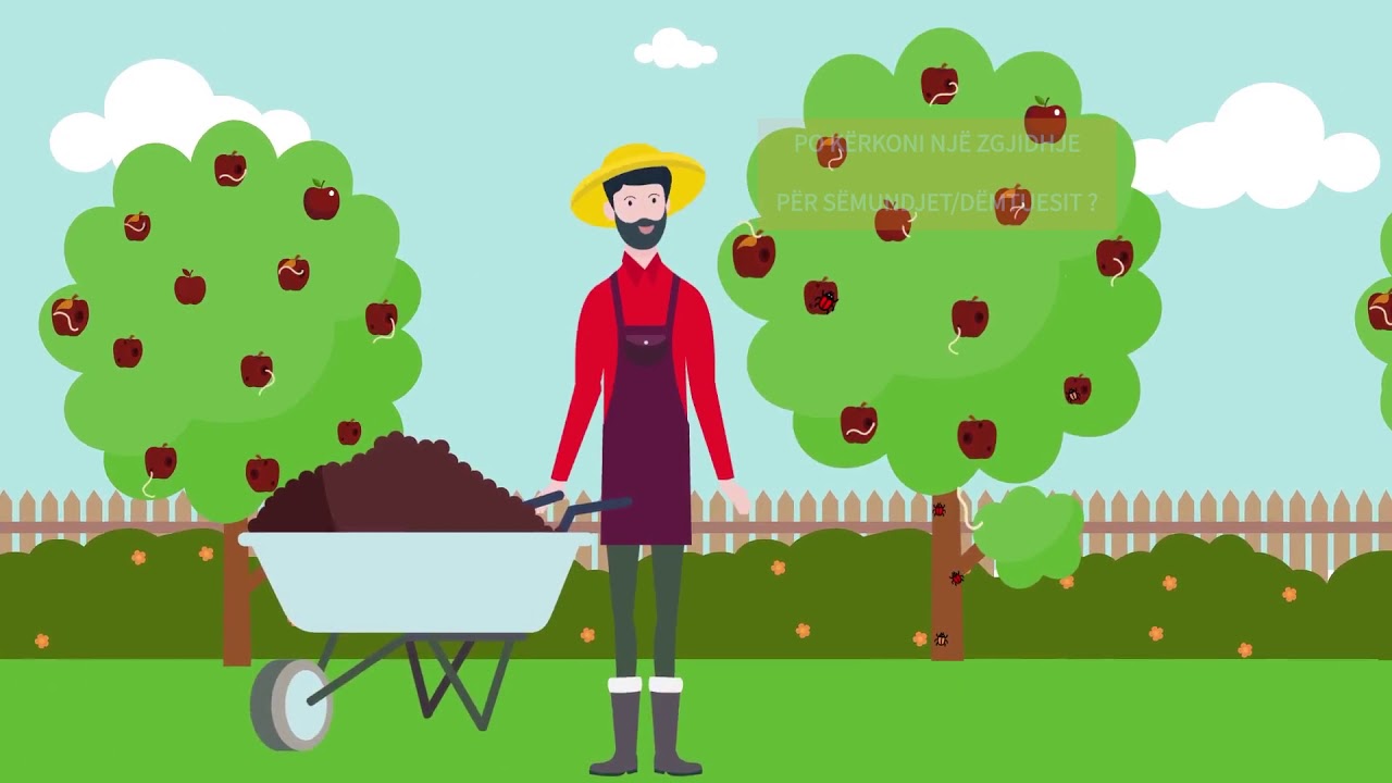 Pompat sperkatese - MJETE PROFESIONALE GJERMANE SOLO - YouTube