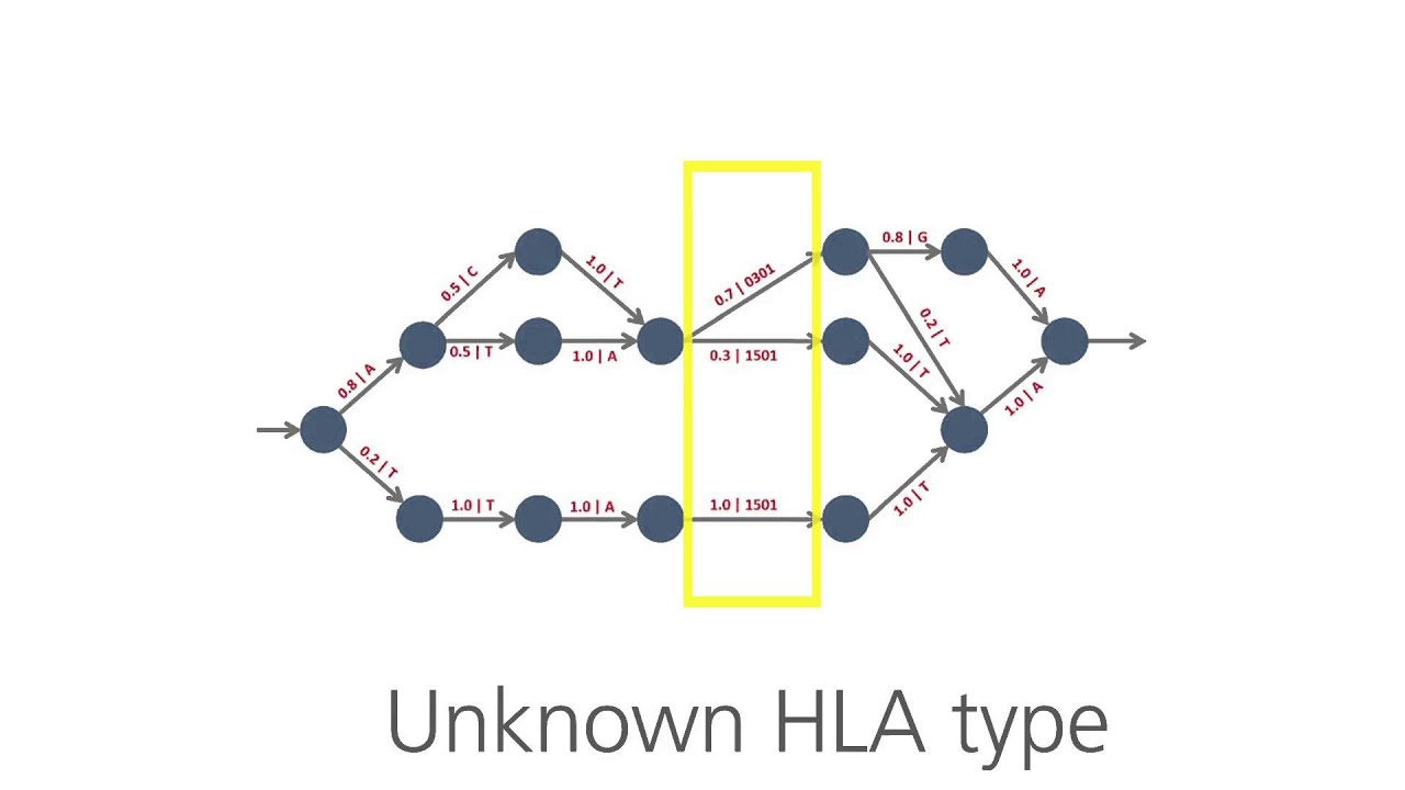 4-Digit HLA Typing with Affymetrix’ Axiom HLA Analysis - YouTube